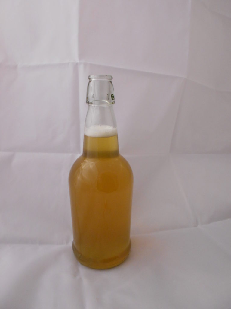 Brew Log: Mango Serrano Pepper Mead | Mad AlcheMead